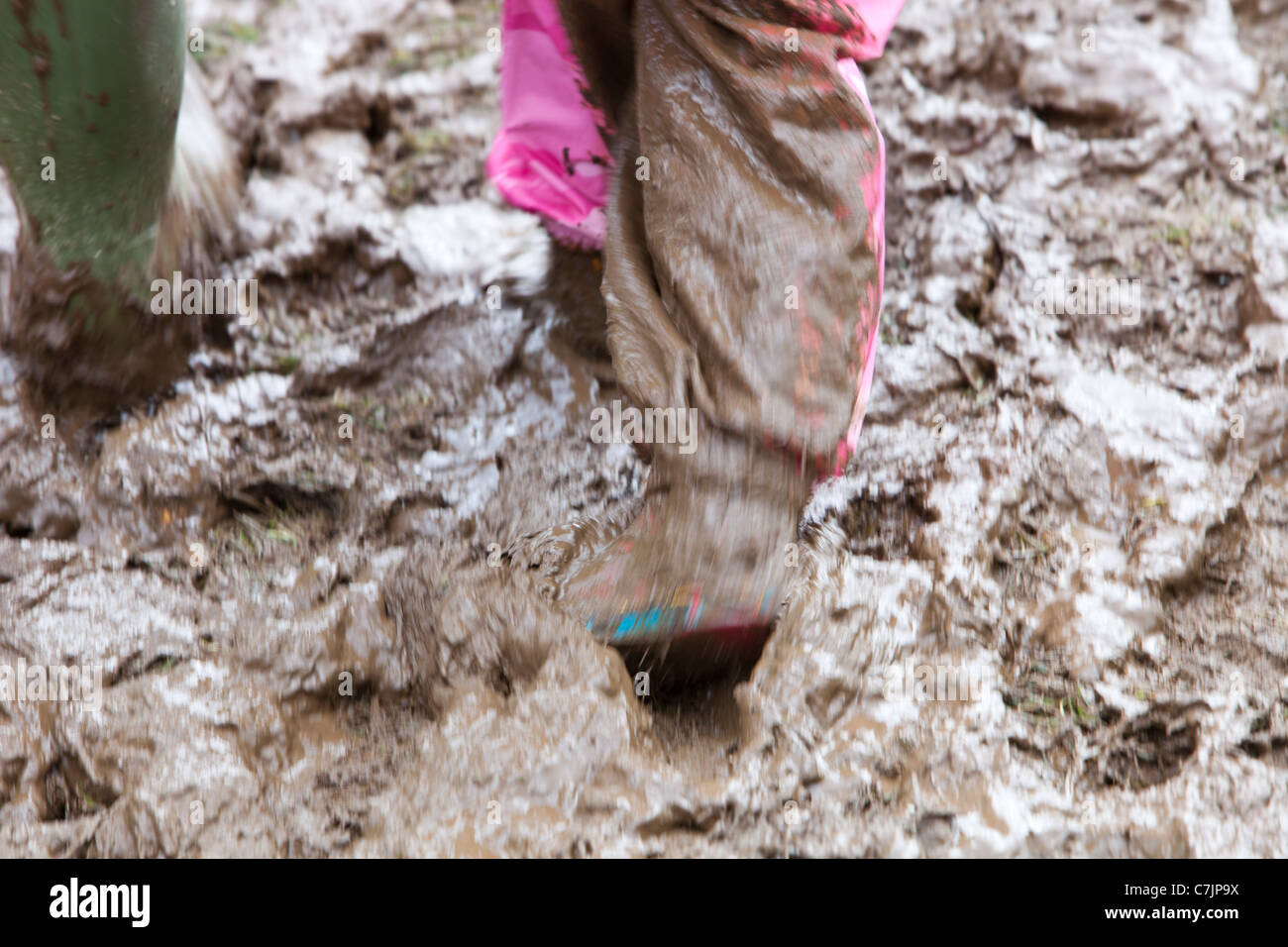 A field churned up into Mud at the World Sheep Dog Trials at Lowther ...