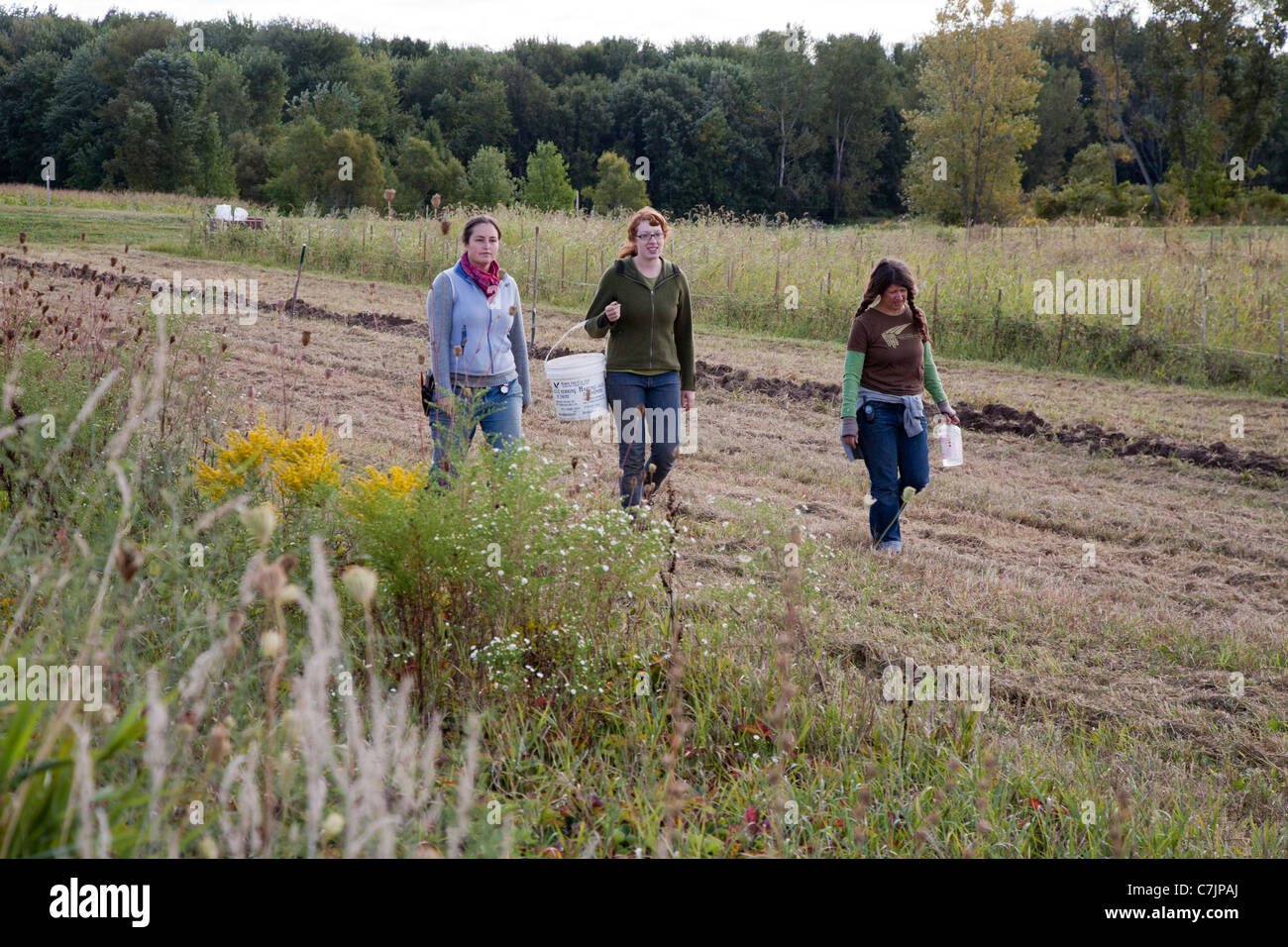 Small Organic Farm Stock Photo - Alamy