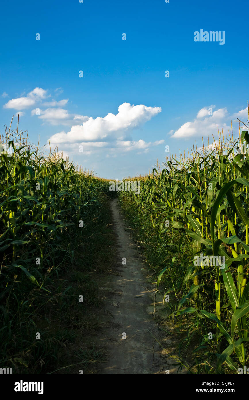 Farming track hi-res stock photography and images - Alamy