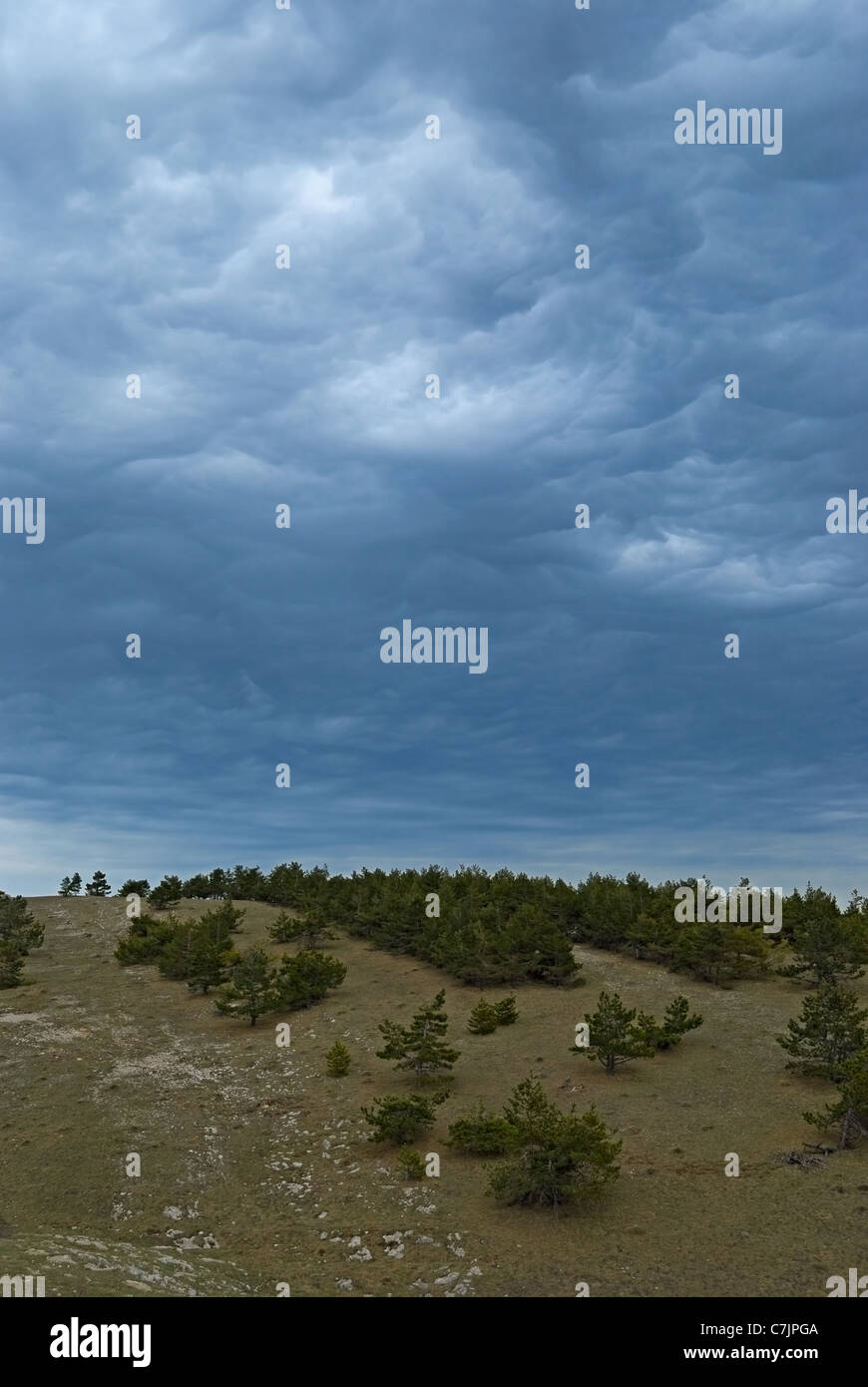spring hill in Crimea. country Ukraine Stock Photo - Alamy