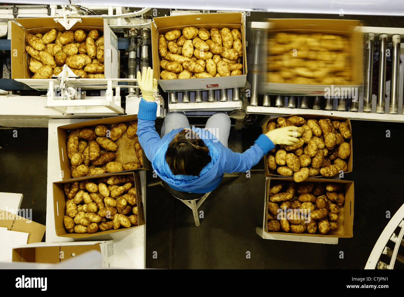 Raw potato storage hi-res stock photography and images - Alamy