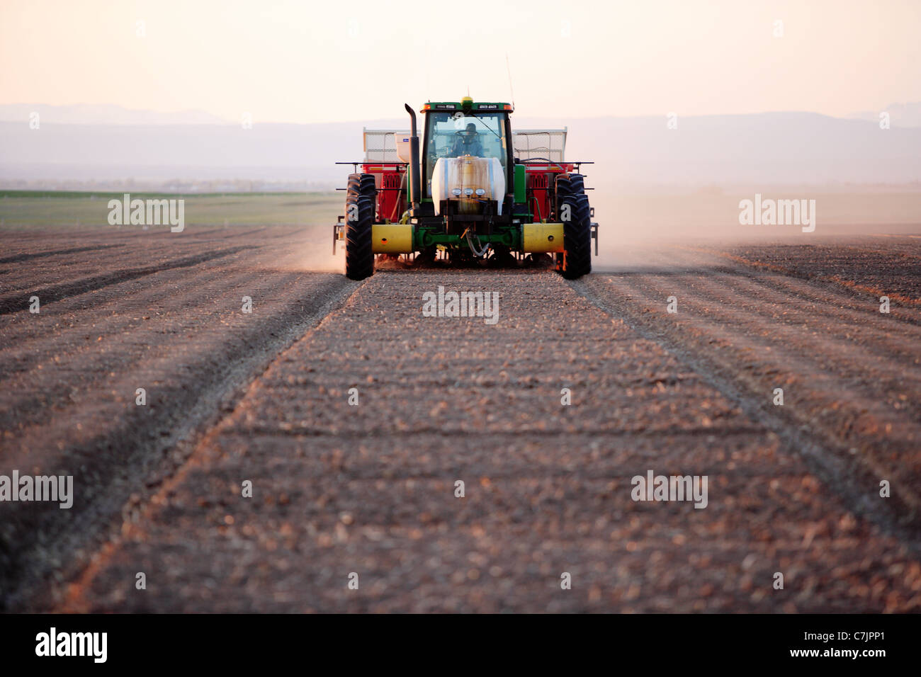 Plowing potatoes hi-res stock photography and images - Alamy