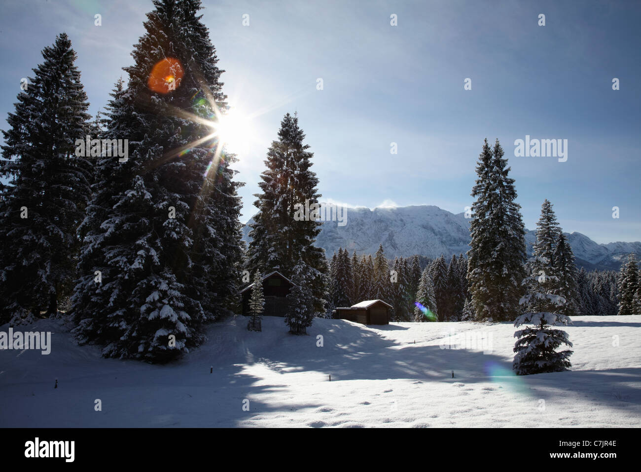 Hillside covered with trees hi-res stock photography and images - Alamy