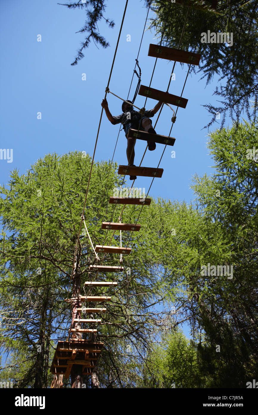 Person doing treetop obstacle course Stock Photo - Alamy