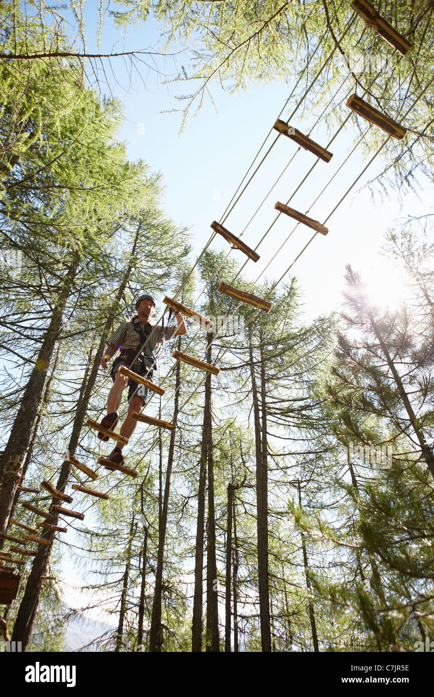 Treetop course hi-res stock photography and images - Alamy