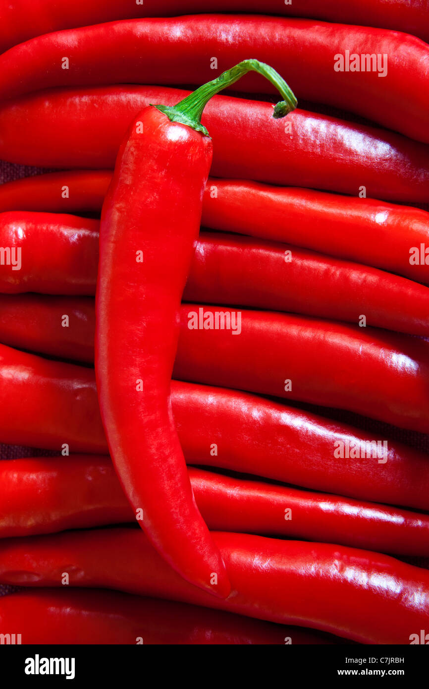 A red chilli pepper against a background of chilli peppers Stock Photo ...