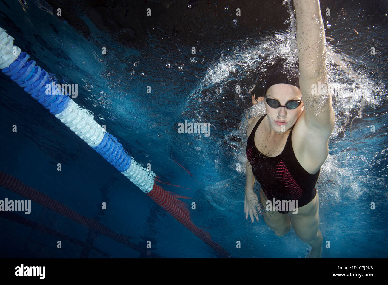 Swimmer doing front crawl in pool Stock Photo - Alamy