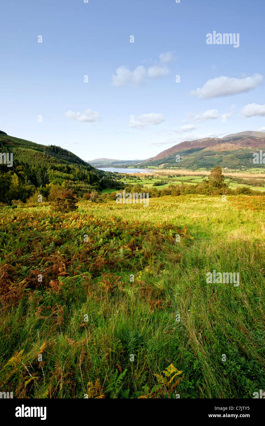 Whinlatter pass, cumbria hi-res stock photography and images - Alamy