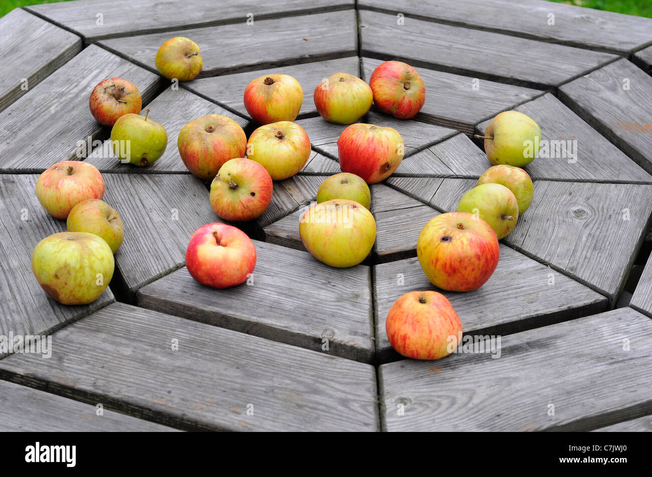 Windfall apples hi-res stock photography and images - Alamy