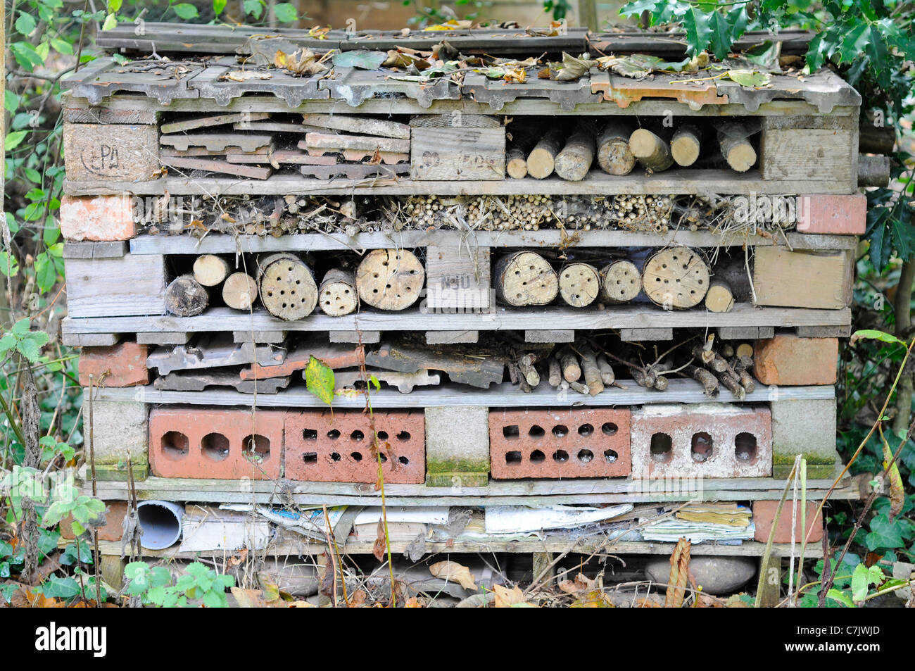 Bug House Stock Photos & Bug House Stock Images - Alamy
