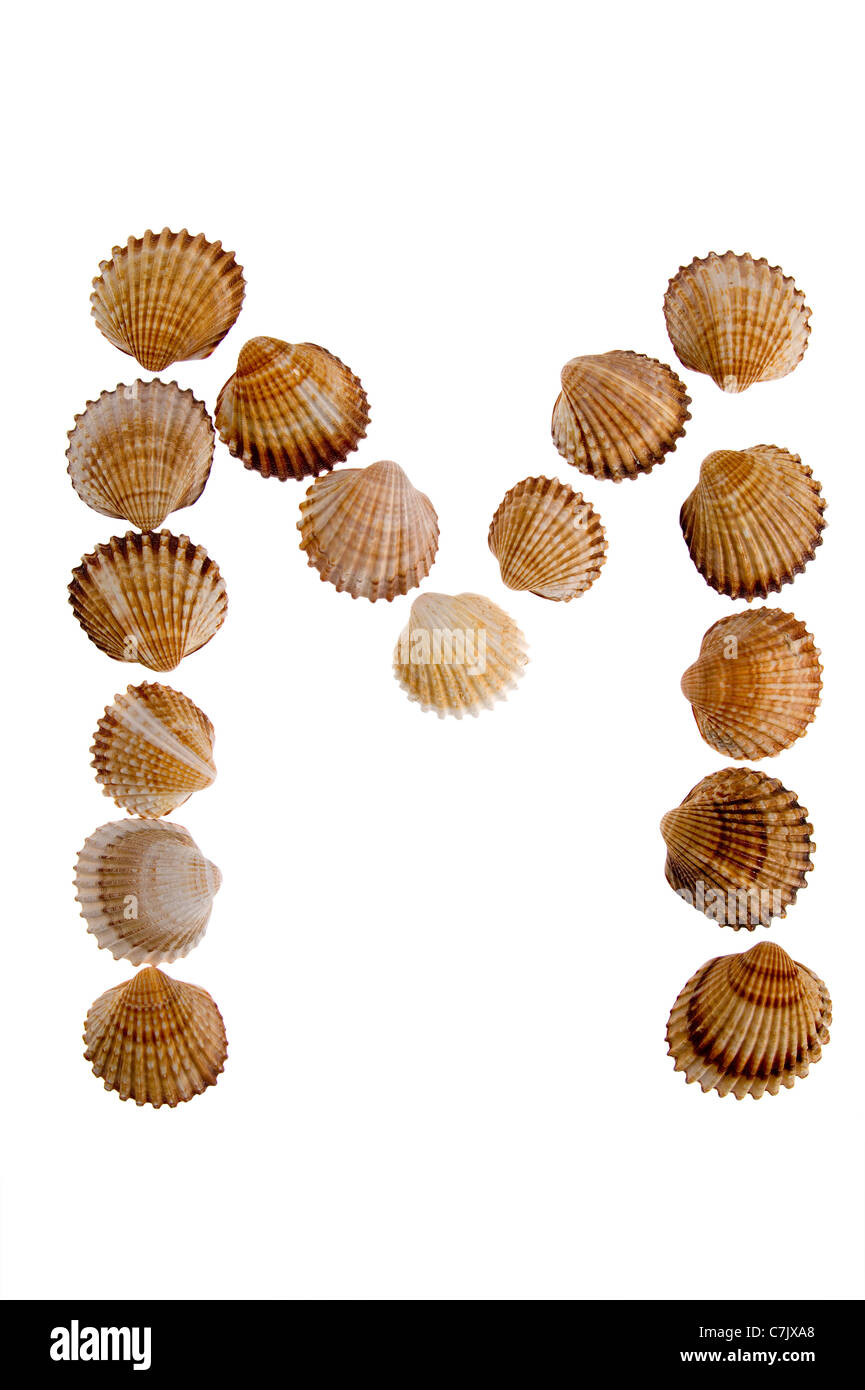 isolated shell letter M - white background Stock Photo - Alamy