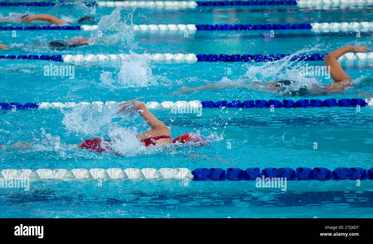 Female swimmers competing in a race Stock Photo - Alamy