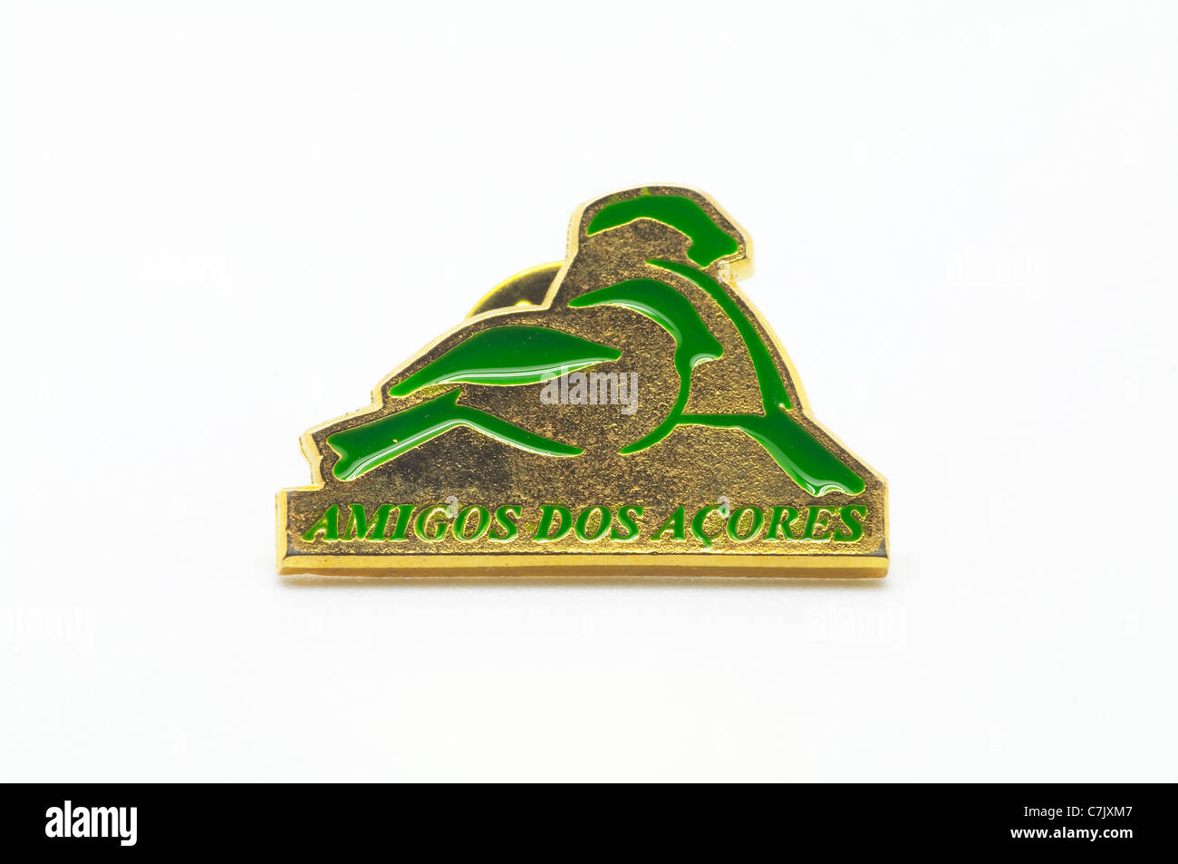 Pin of priolo from the Azores ecological association "Amigos dos Açores ...