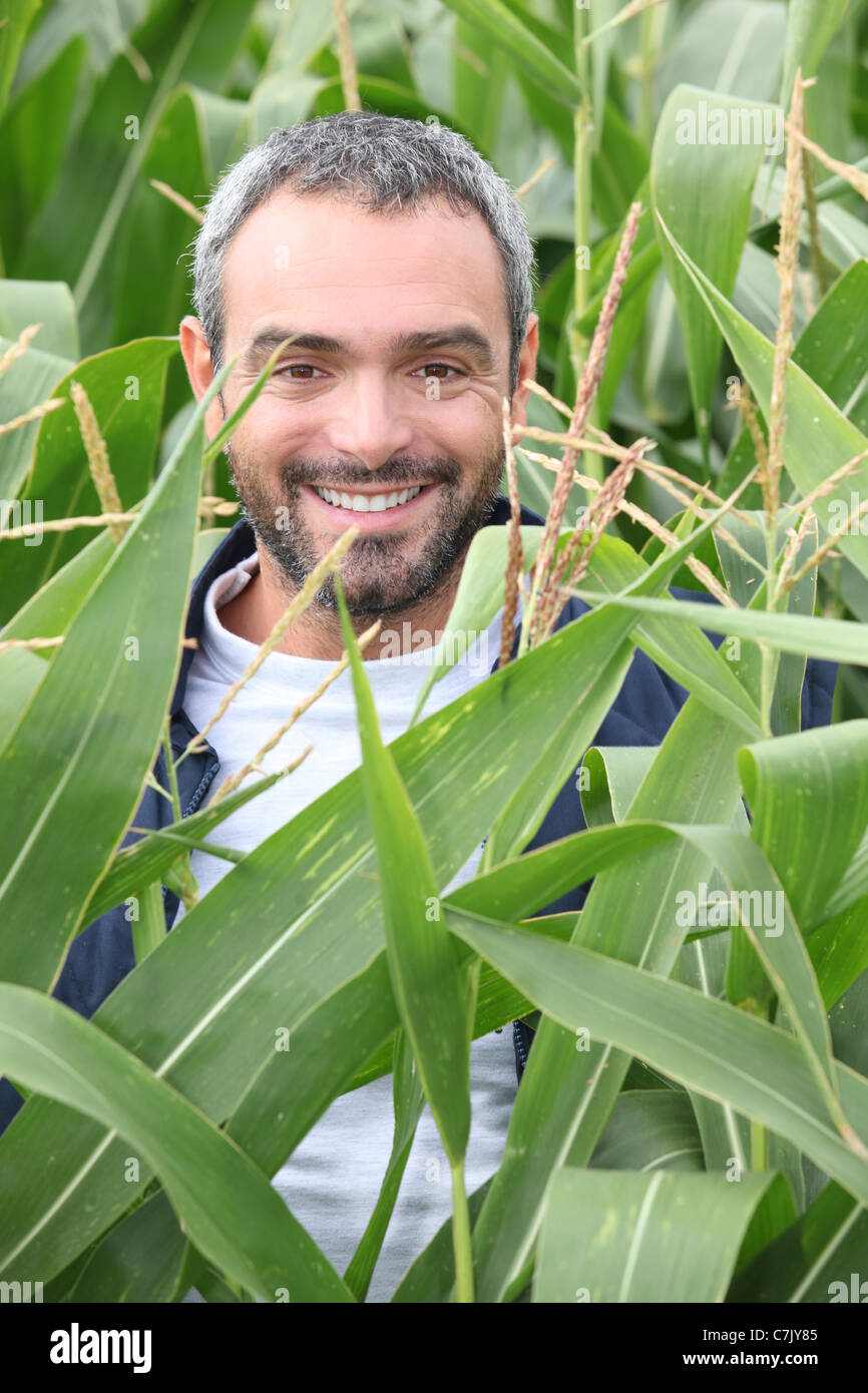 Smiling man in a corn field Stock Photo - Alamy
