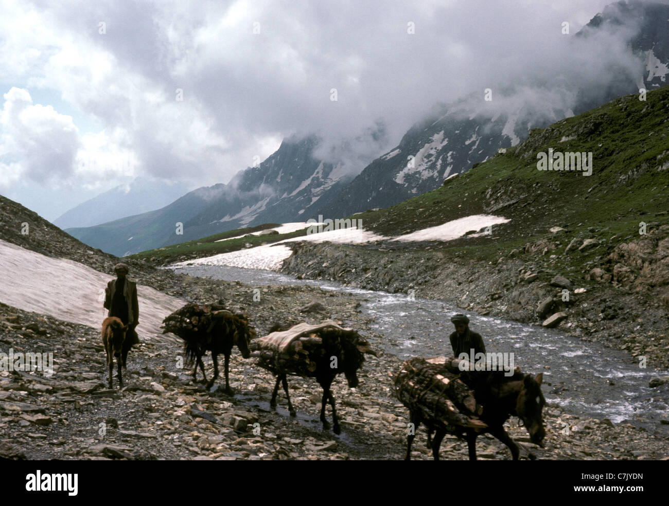 Kashmir train hi-res stock photography and images - Alamy