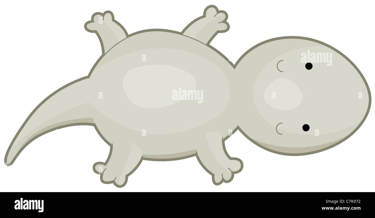 Gecko lizard clipart hi-res stock photography and images - Alamy