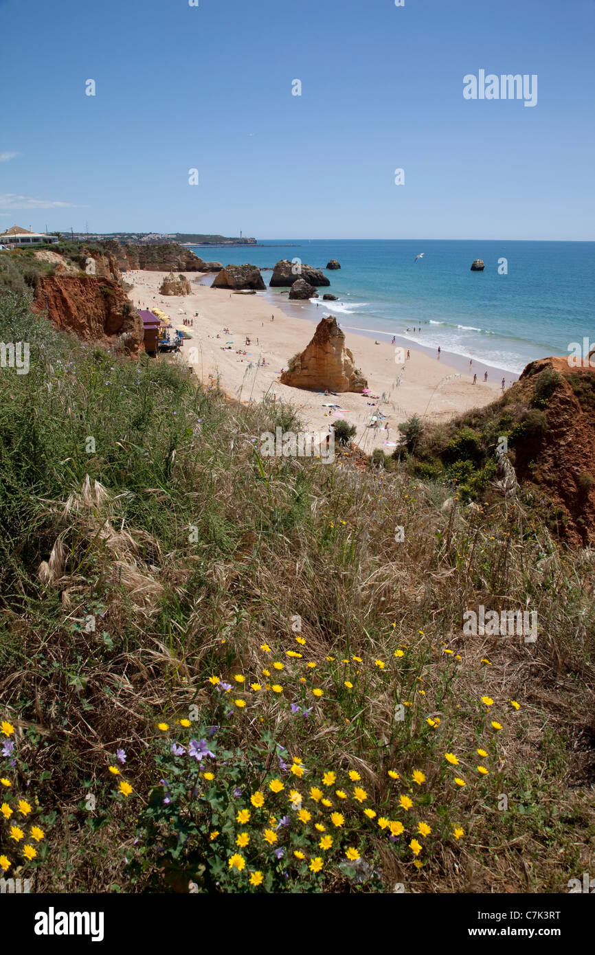 Praia da rocha portugal rocks hi-res stock photography and images - Alamy