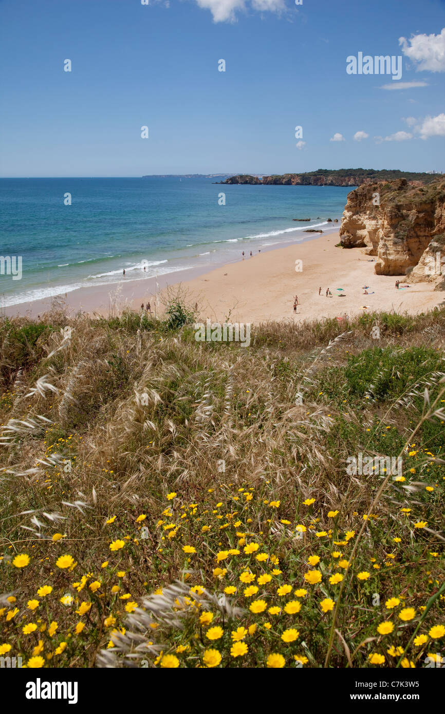 Img 0093 hi-res stock photography and images - Alamy