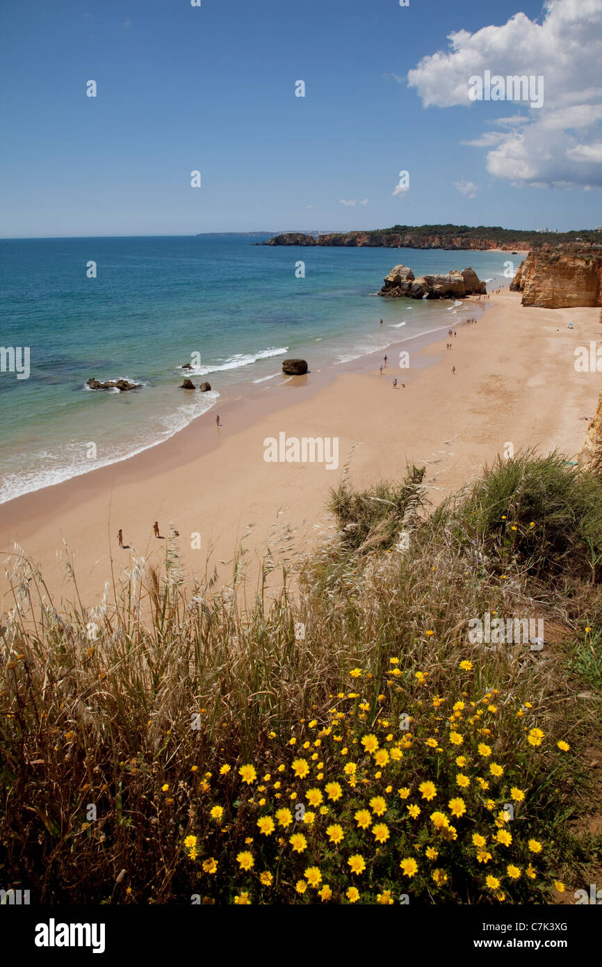Praia da rocha beach hi-res stock photography and images - Alamy