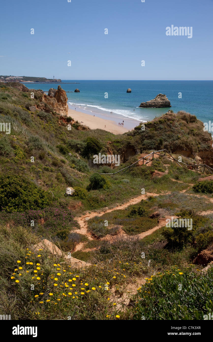 Praia da rocha beach hi-res stock photography and images - Alamy