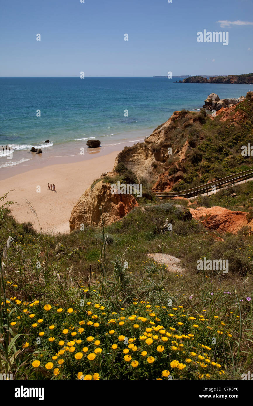 Portugal, Algarve, Praia Da Rocha, Beach & Rocks Stock Photo - Alamy