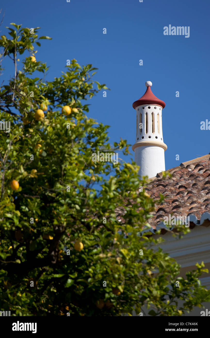 Portugal, Algarve, Silves, Lemon Tree & Chimney Stock Photo - Alamy
