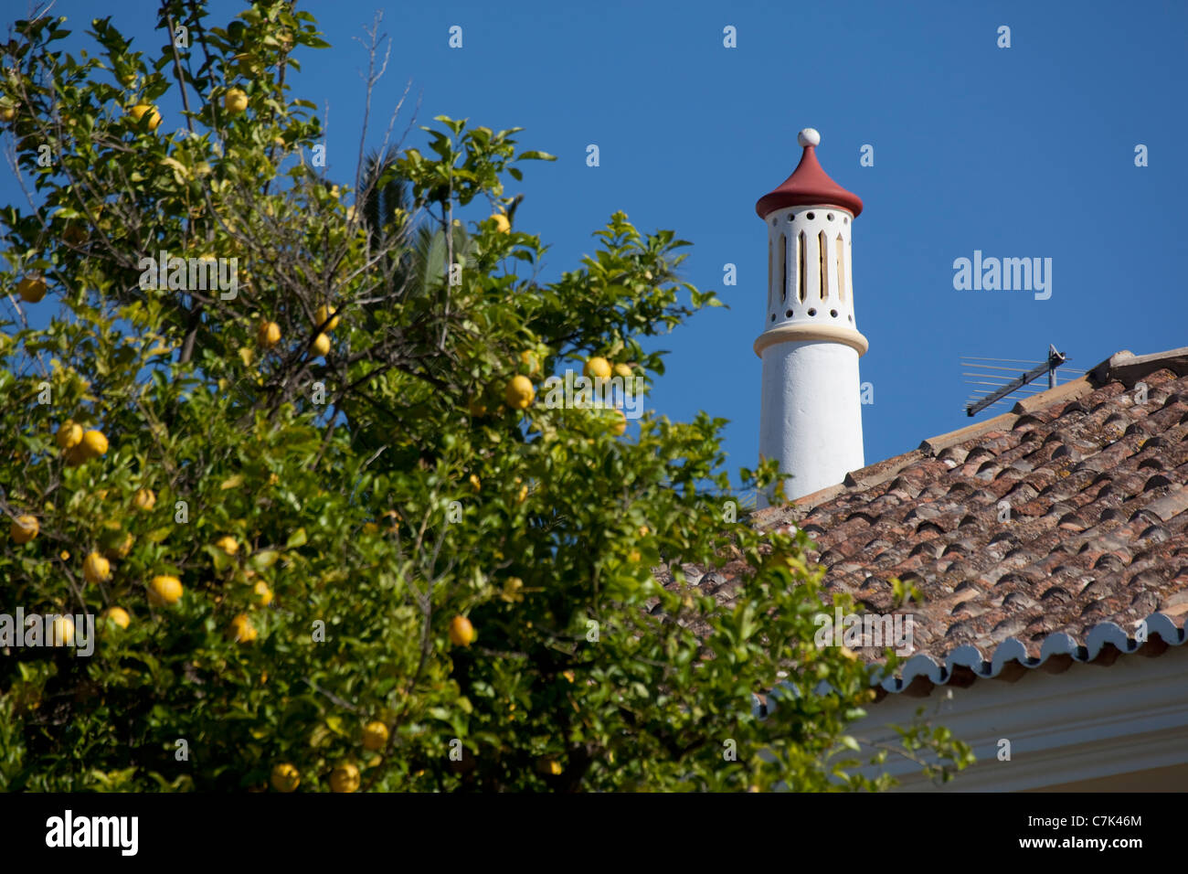 Portugal, Algarve, Silves, Lemon Tree & Chimney Stock Photo - Alamy
