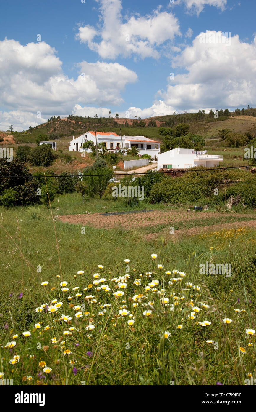 Portugal countryside hi-res stock photography and images - Alamy