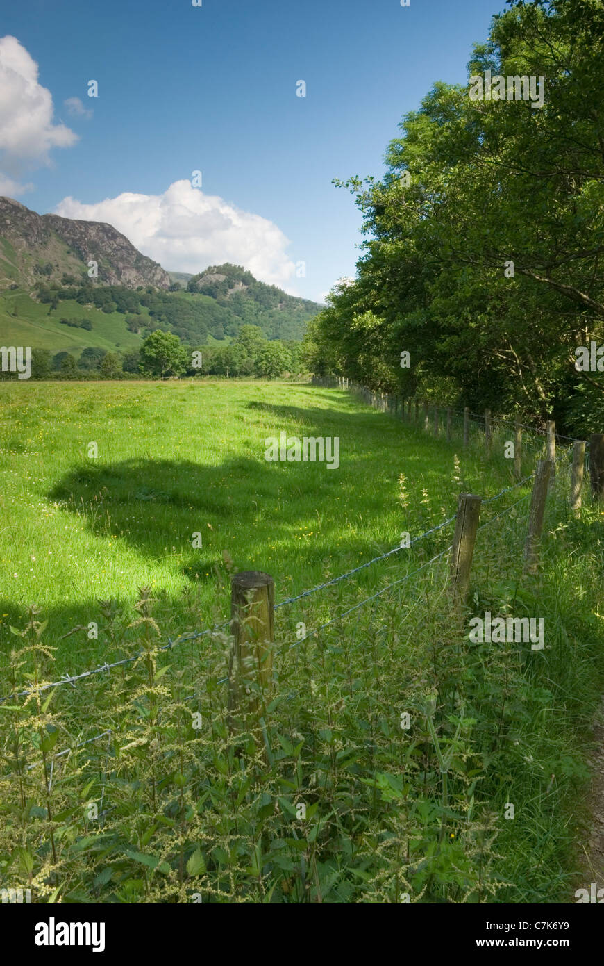 Castle Crag from Rosthwaite, Cumbria, UK Stock Photo - Alamy