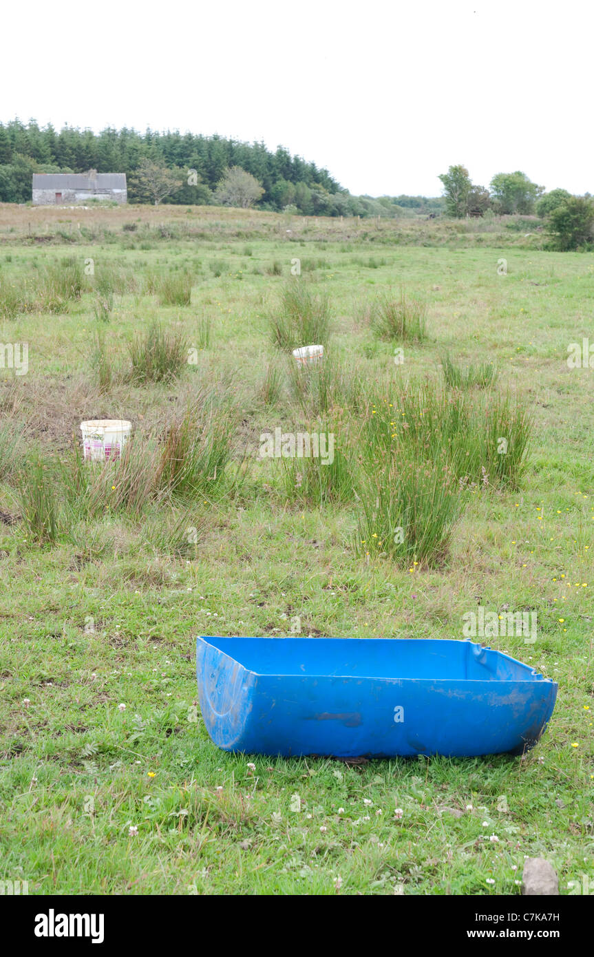 BLUE HALF BARREL IN FIELD Stock Photo - Alamy