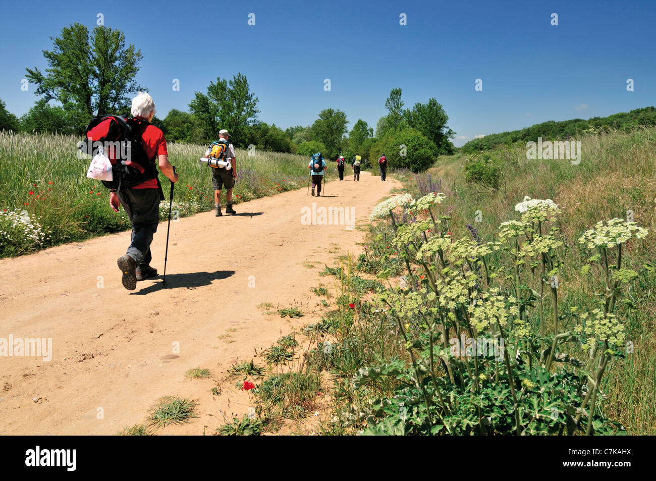 Spain, St. James Way: Pilgrims arriving in San Juan de Ortega Stock ...
