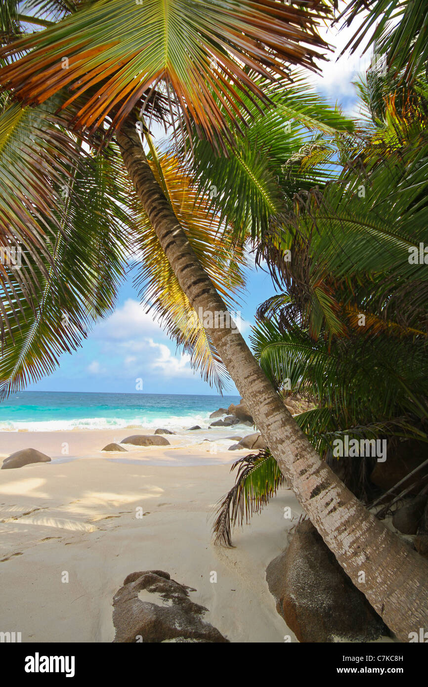 Beautiful anse intendance beach hi-res stock photography and images - Alamy