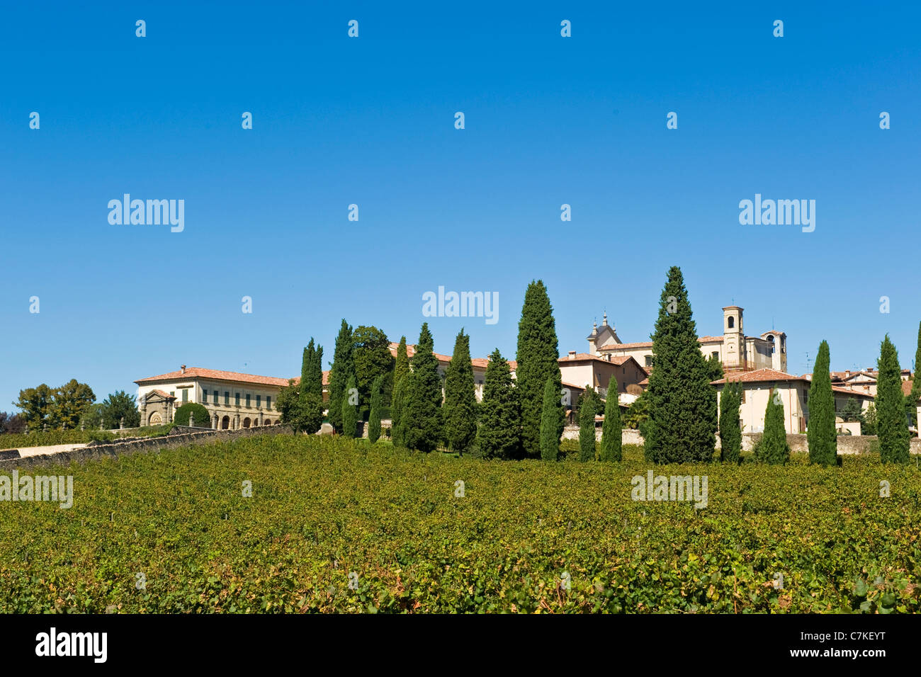 Vineyards, Erbusco, Franciacorta, Lombardy, Italy Stock Photo - Alamy
