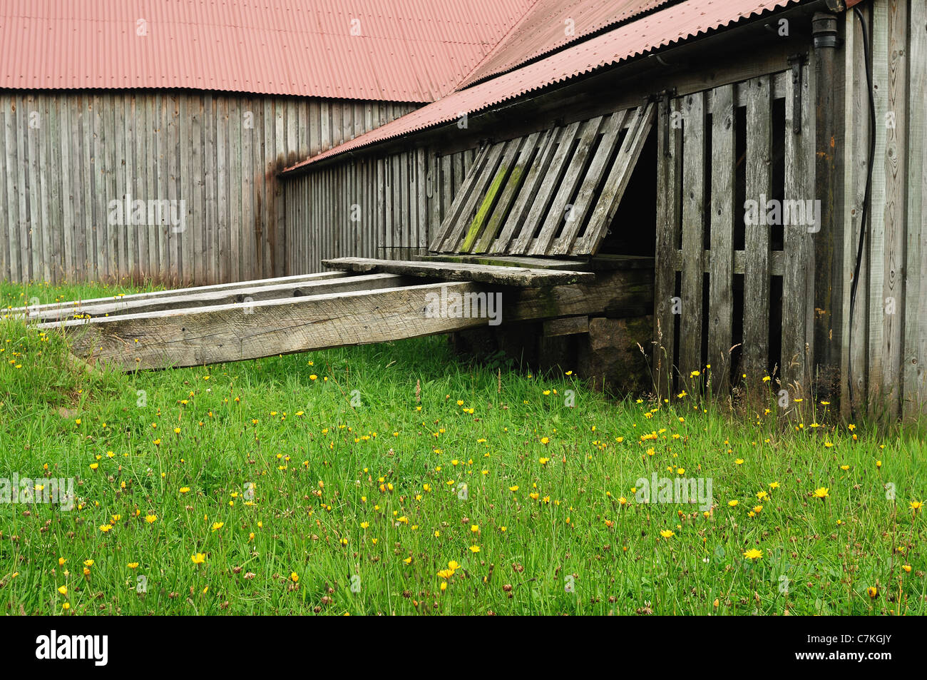 The Forest of Birse by the Bucket Mill near Finzean in Aberdeenshire ...