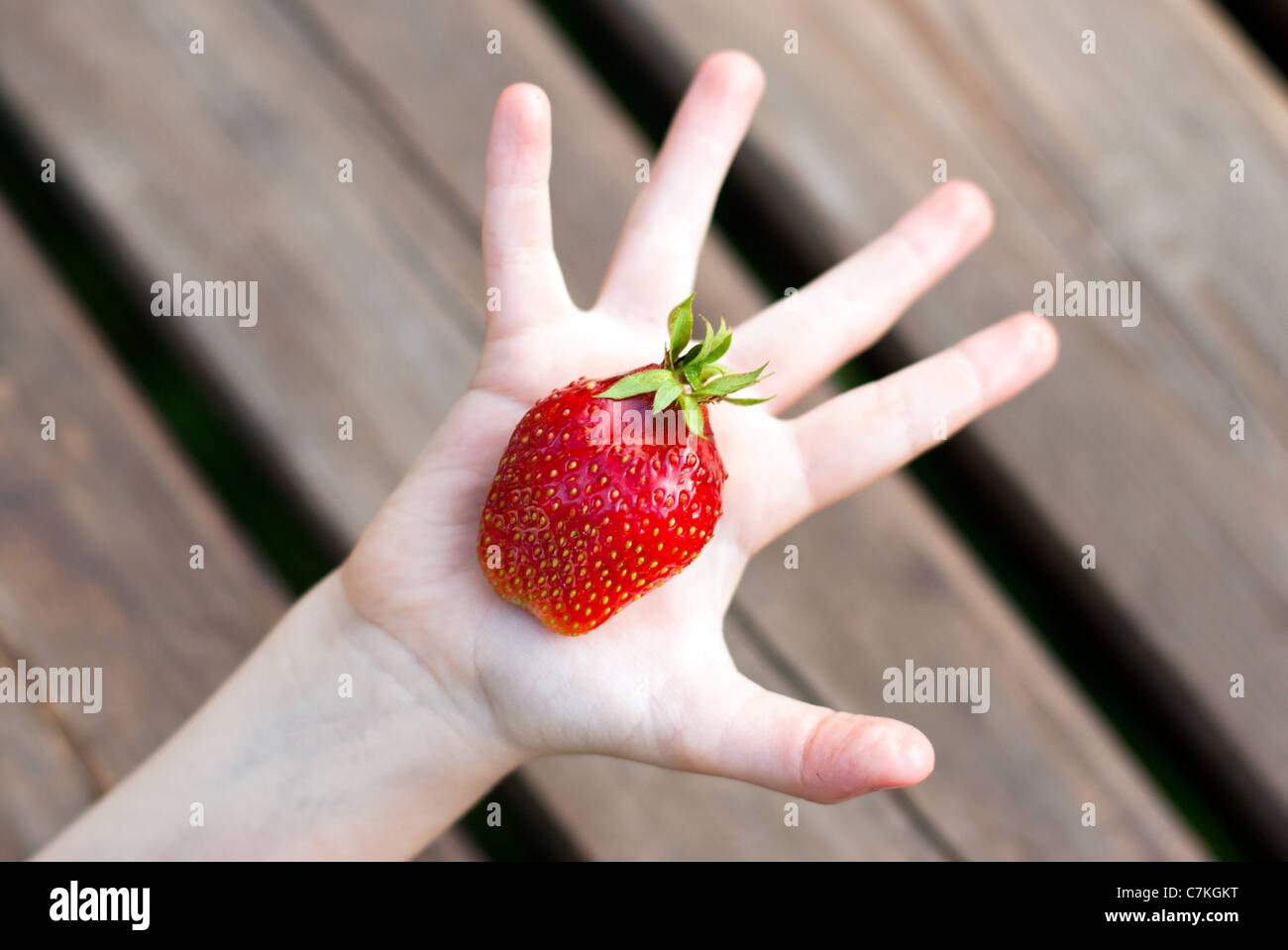 Baby strawberry plants hi-res stock photography and images - Alamy