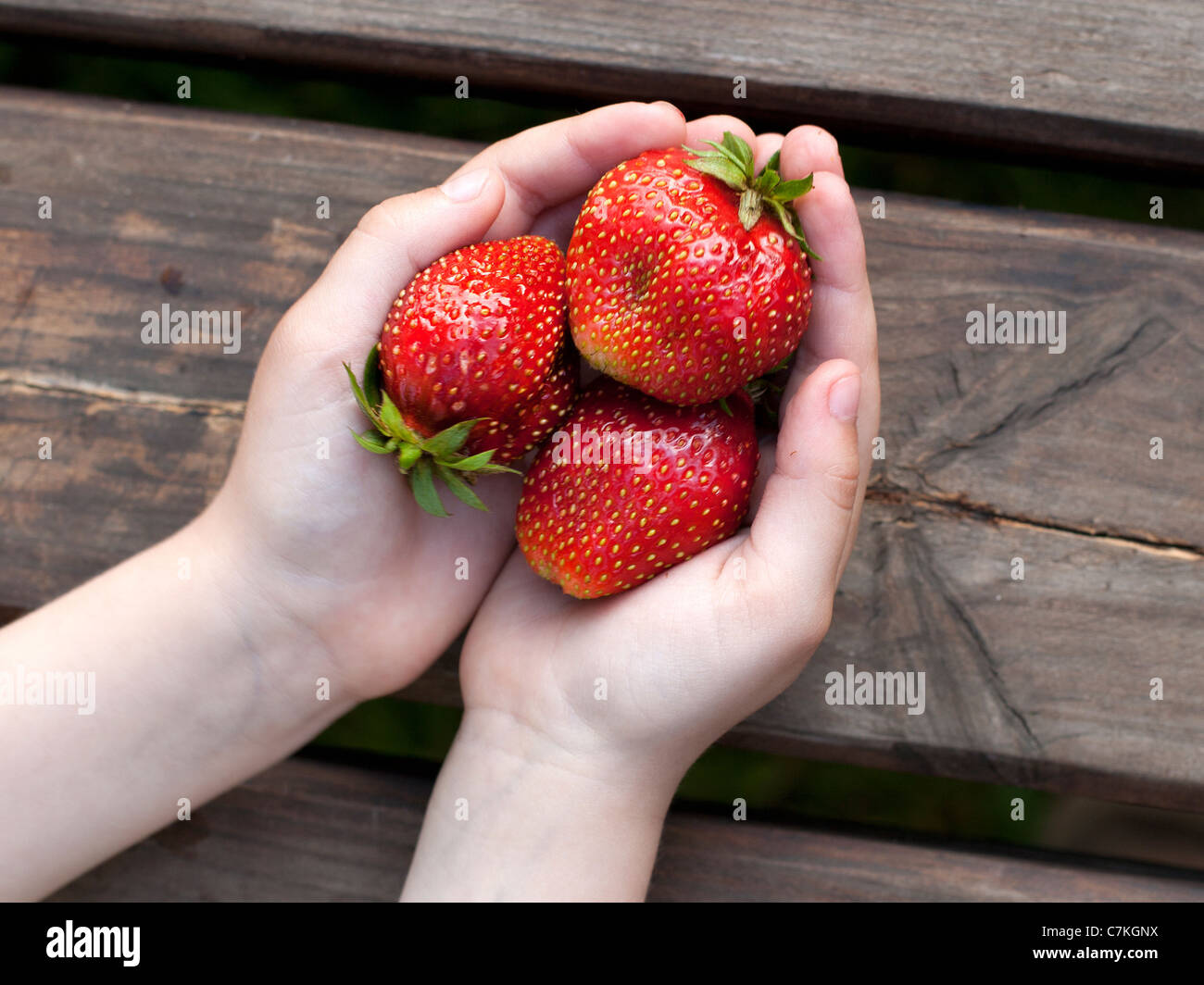 Baby strawberry plants hi-res stock photography and images - Alamy