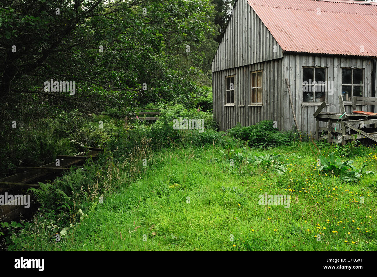 Forest of birse hi-res stock photography and images - Alamy