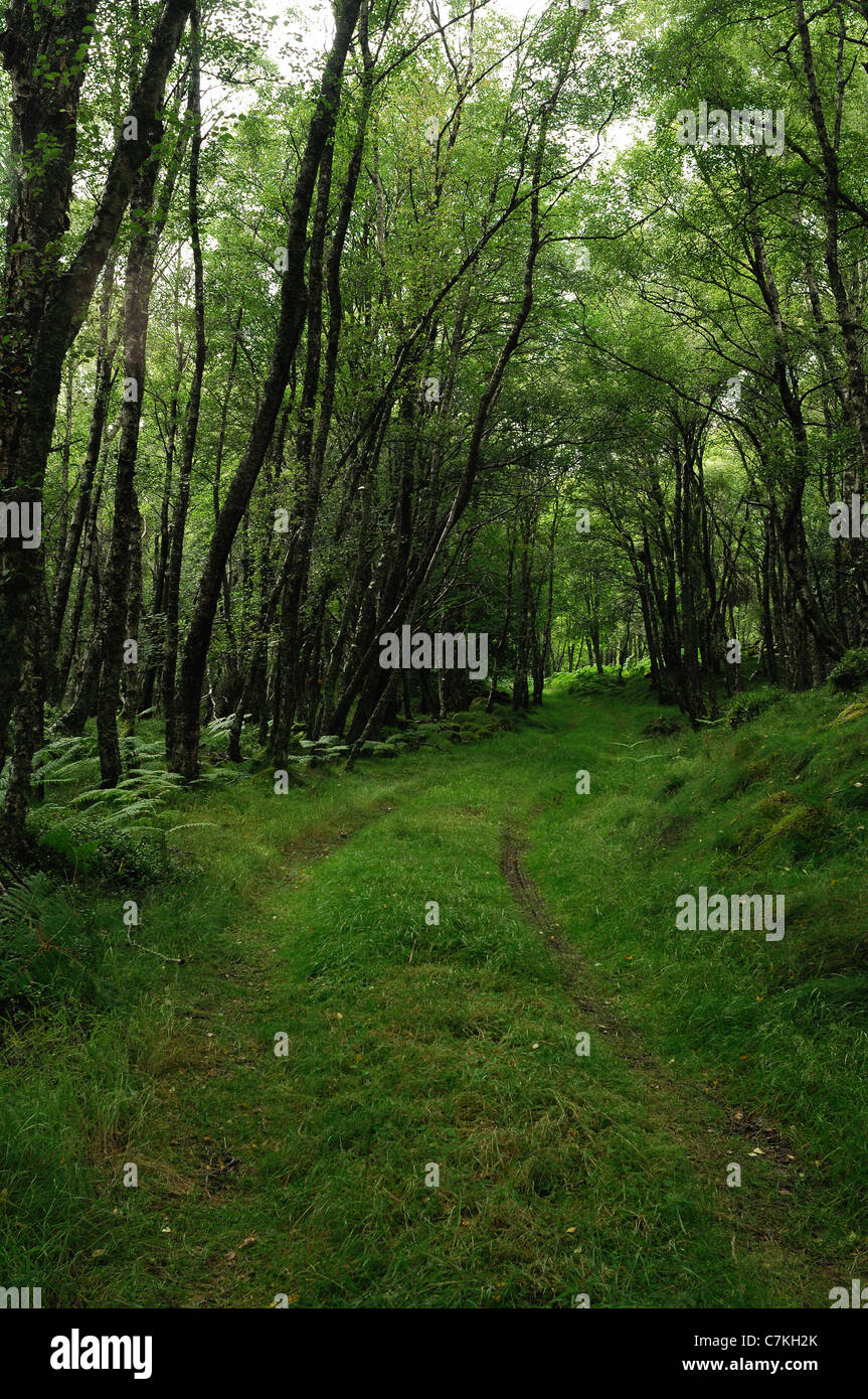Finzean hi-res stock photography and images - Alamy