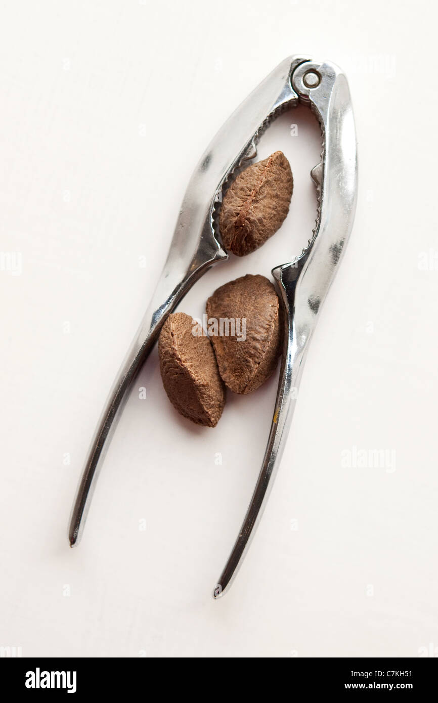 A metal nut cracker with three whole brazil nuts Stock Photo - Alamy