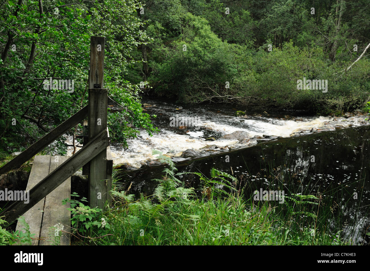 The Forest of Birse by the Bucket Mill near Finzean in Aberdeenshire ...