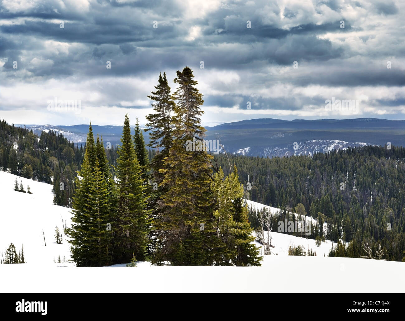 high mountains landscape with trees, snow and dramatic sky Stock Photo ...