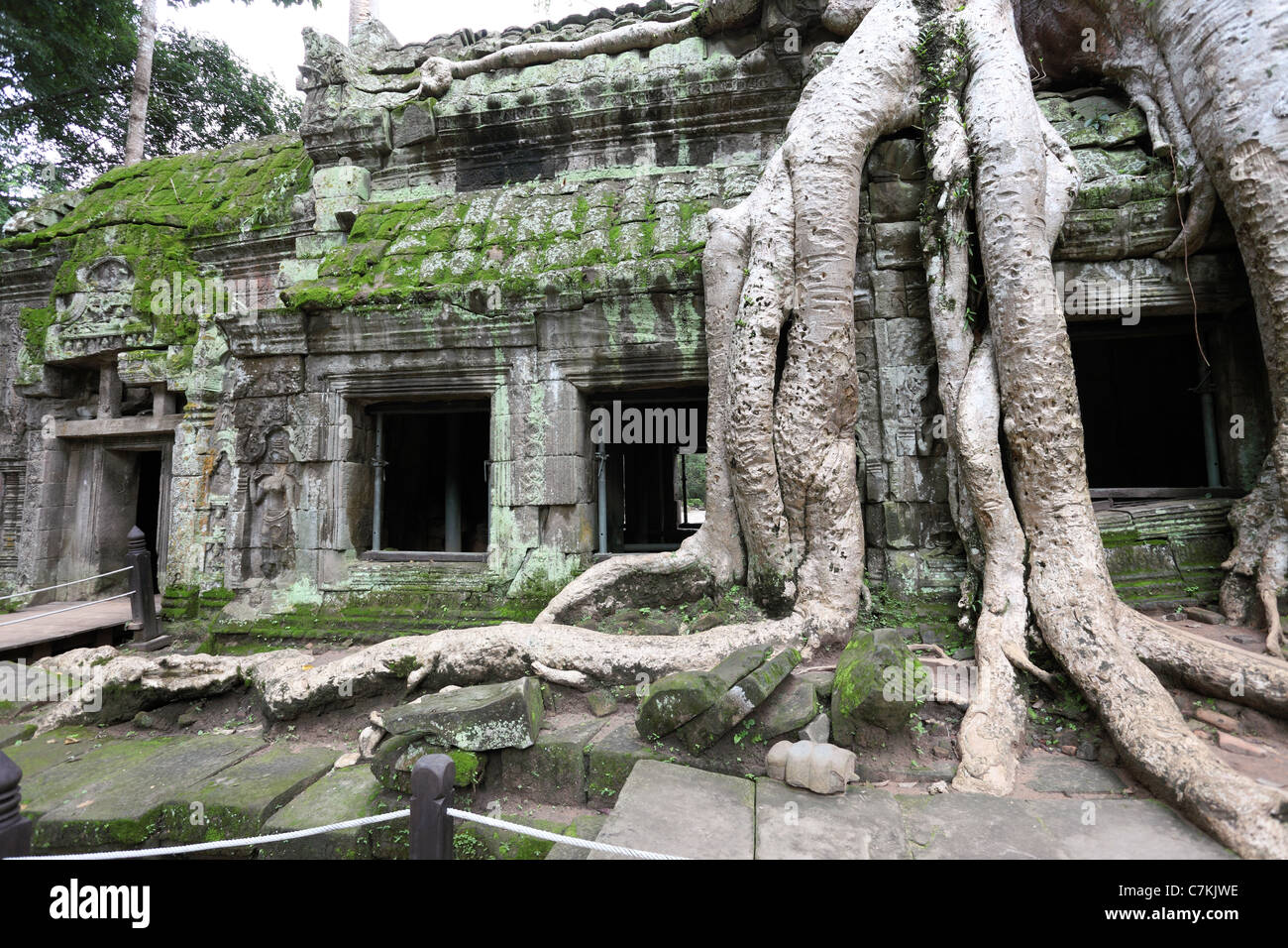 Ta Prohm temple, Angkor, Cambodia Stock Photo - Alamy