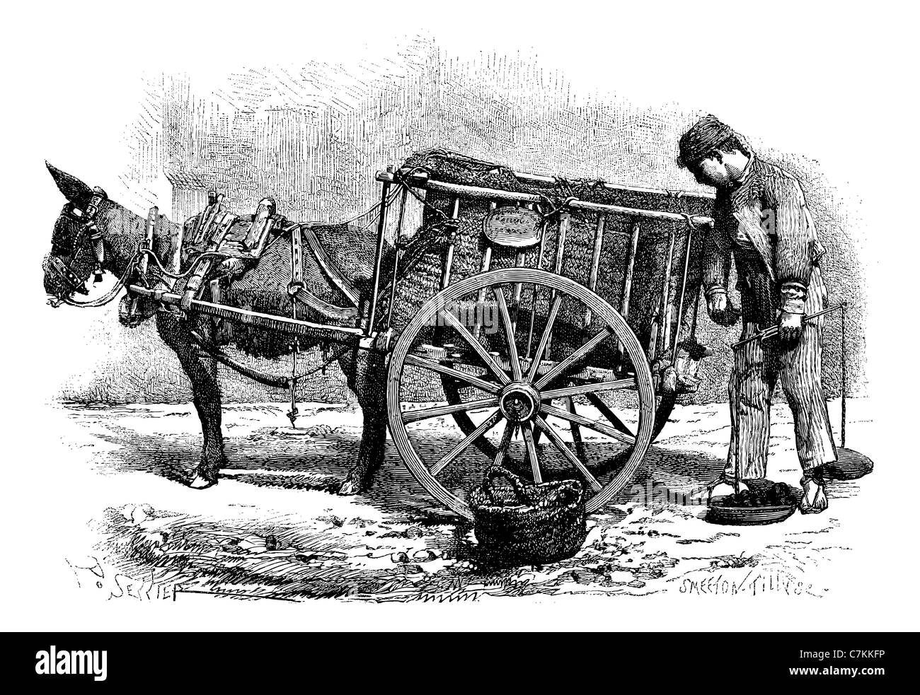 Old engraved illustration of the coal merchant drawing by Saddler ...