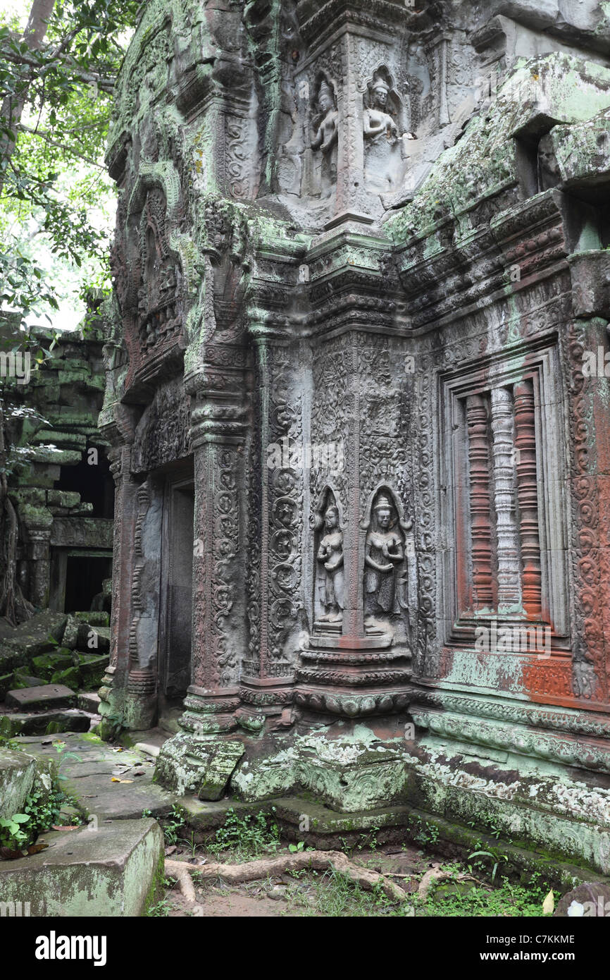 Ta Prohm temple, Angkor, Cambodia Stock Photo - Alamy