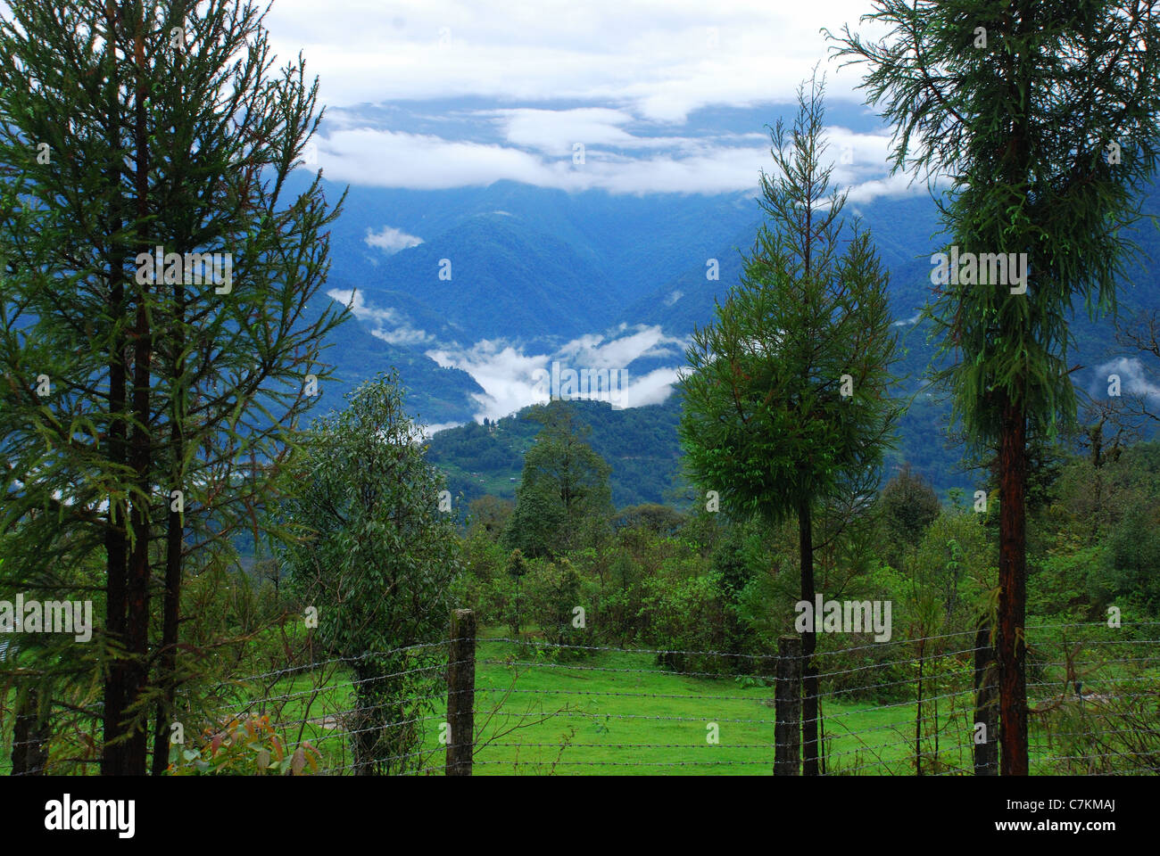 A Summer view of Eastern Himalaya Stock Photo - Alamy