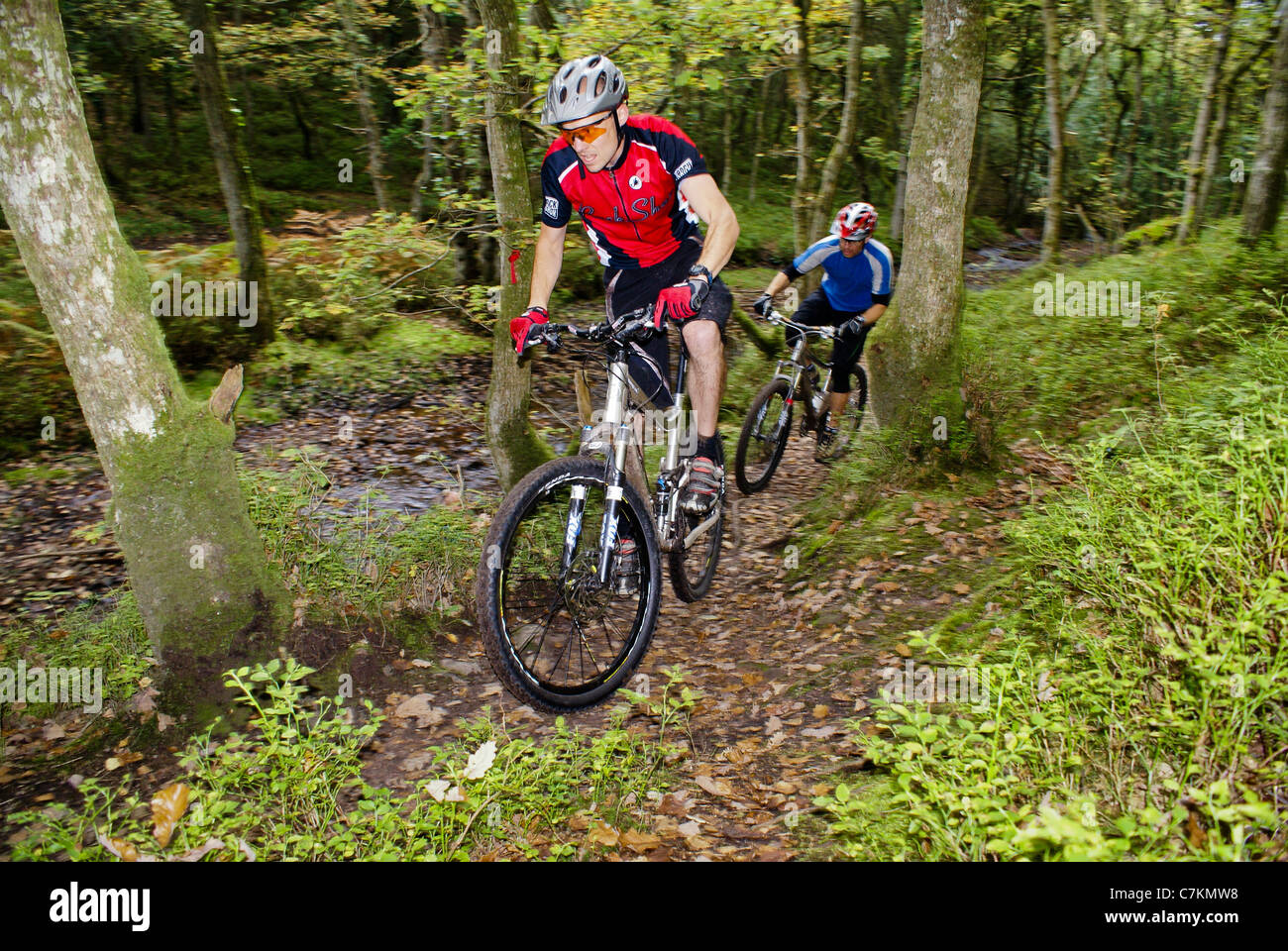 Uk mtb trail hi-res stock photography and images - Alamy