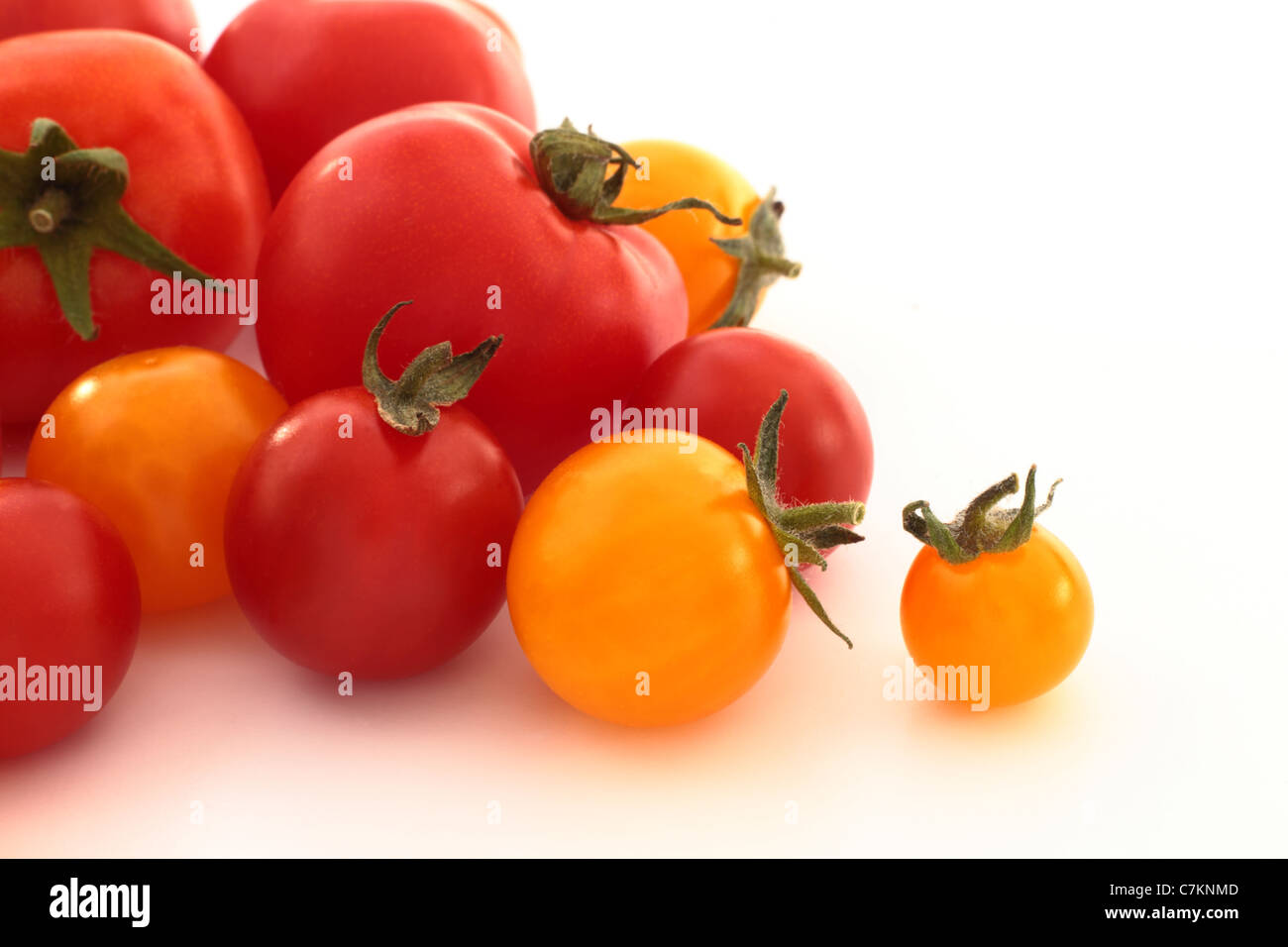 Red and yellow tomatoes of various sizes on a white background Stock ...