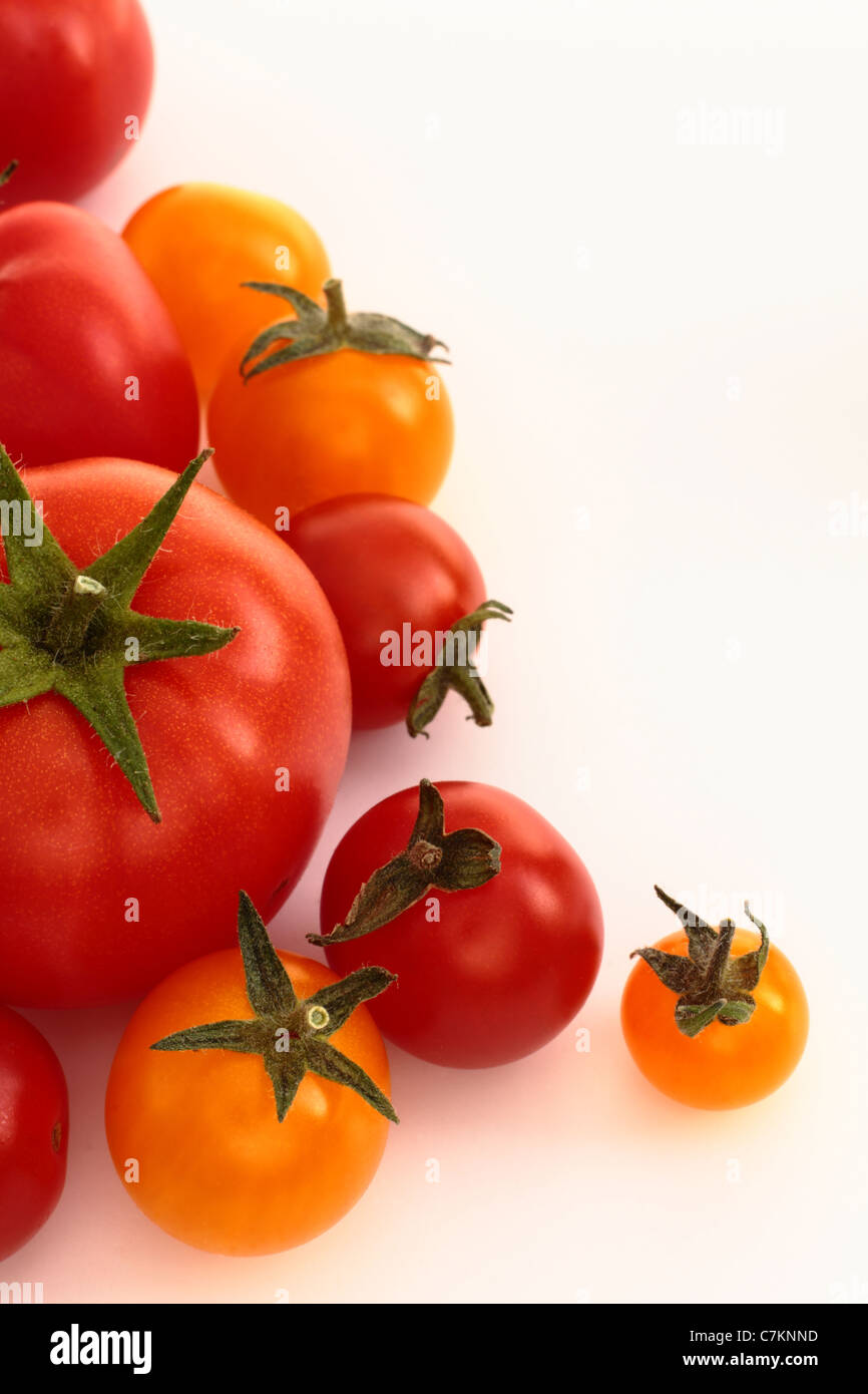 Red and yellow tomatoes of various sizes on a white background. Grown ...