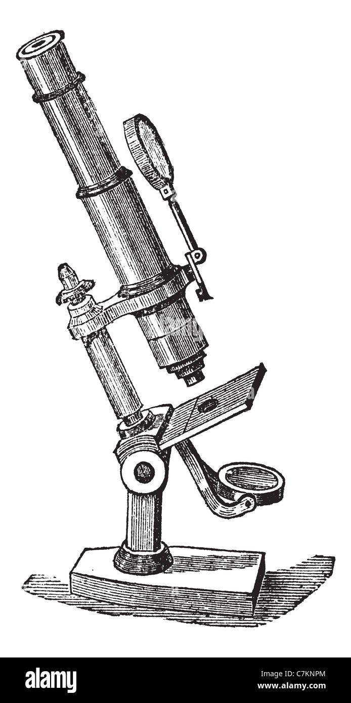 Modern Compound Light Microscope 1886
