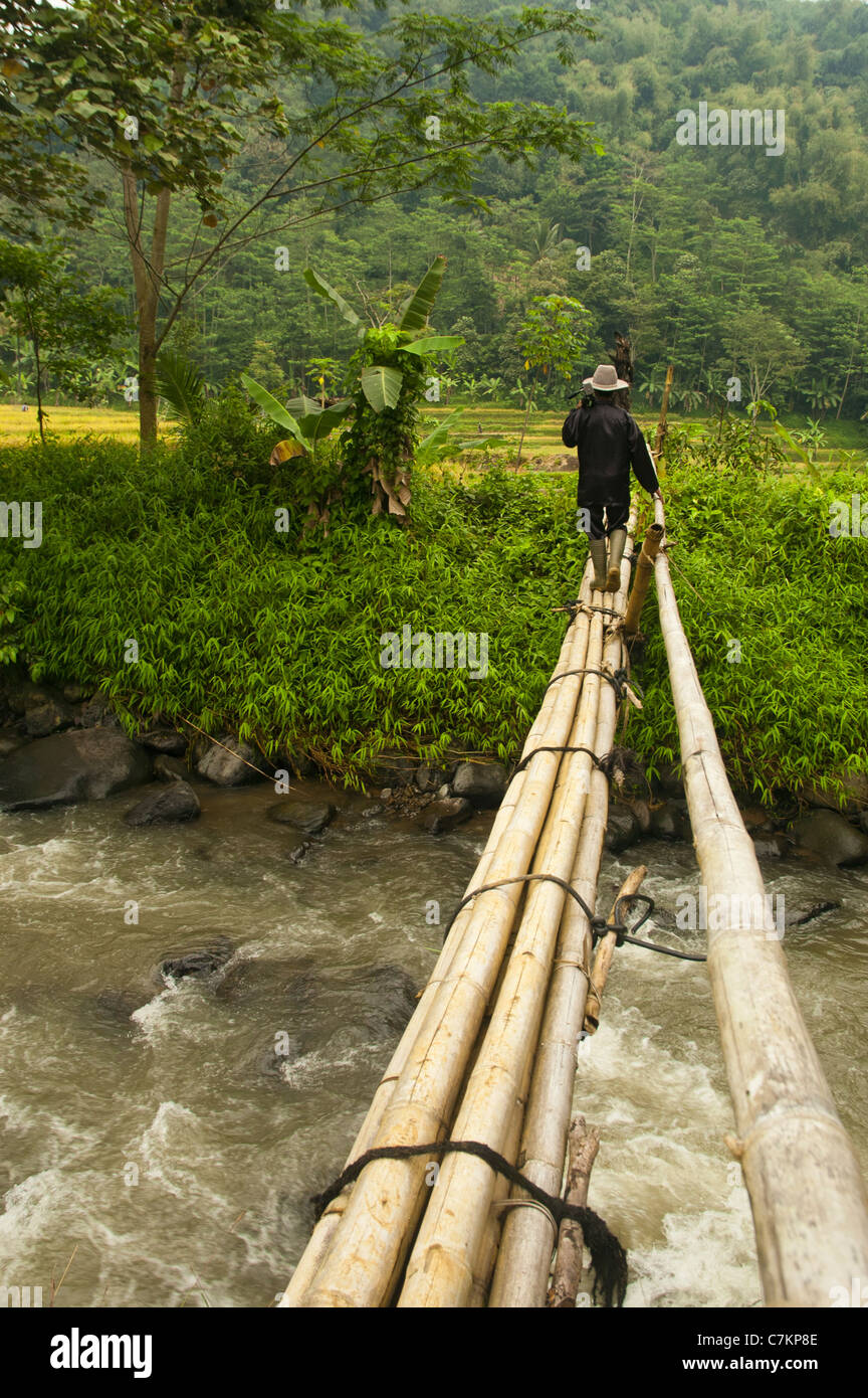 Farmer crossing the Bamboo Bridge Stock Photo - Alamy